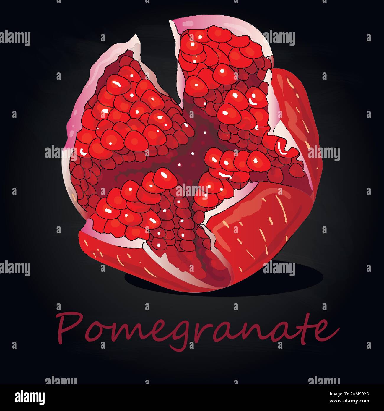 Pomegranate hand drown vector illustration isolated on black background ...