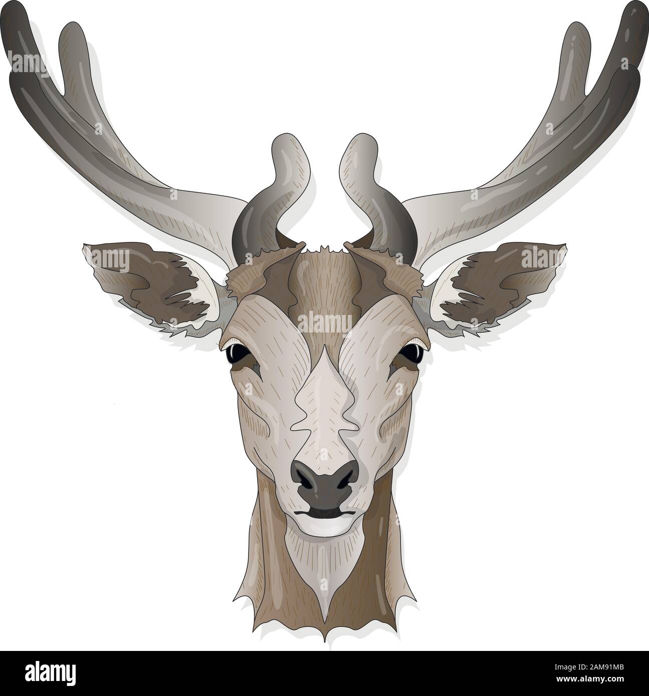Stylized deer head vector illustration isolated on white background ...