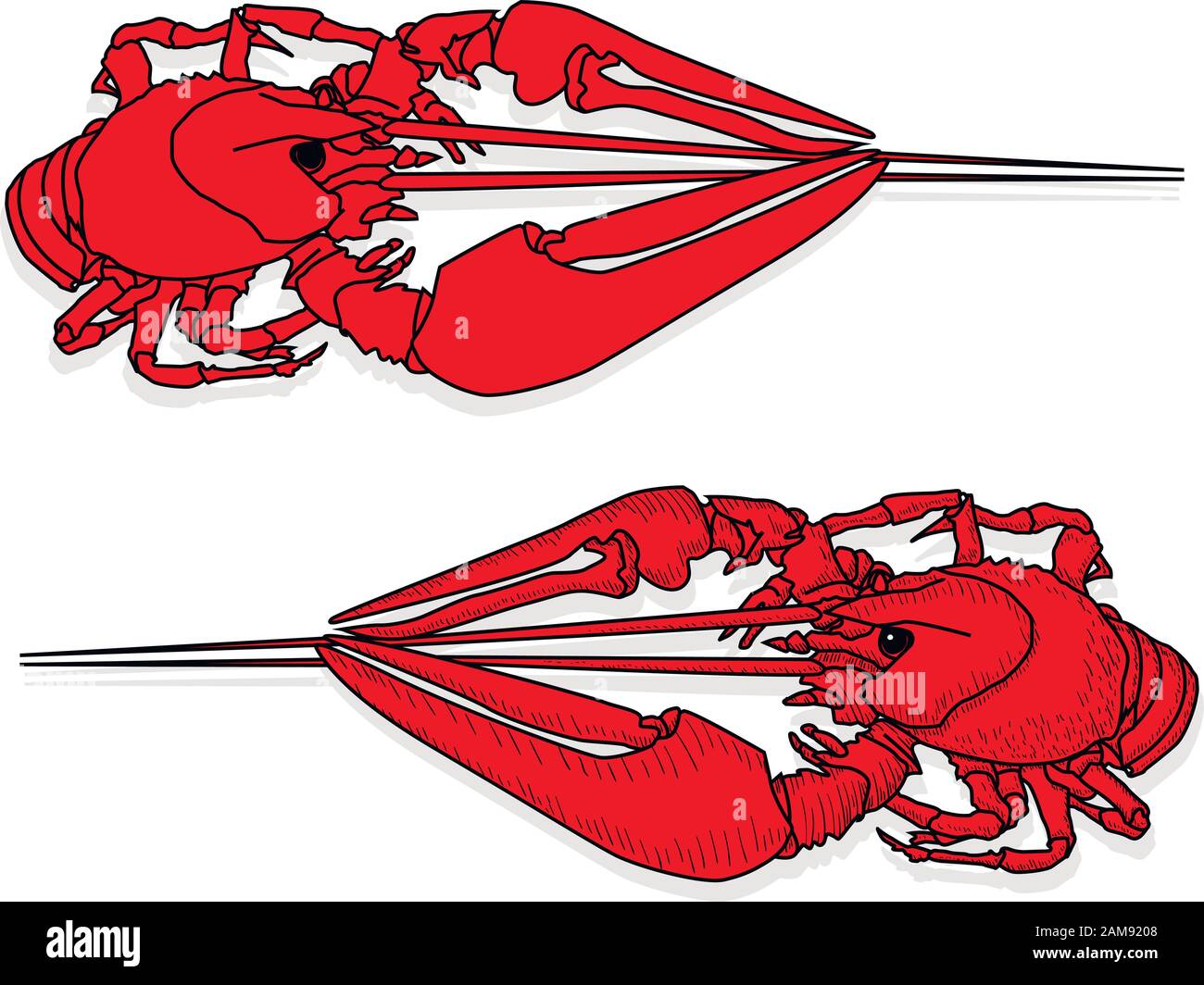 Crayfish vector illustration on a white background. Crayfish isolated ...