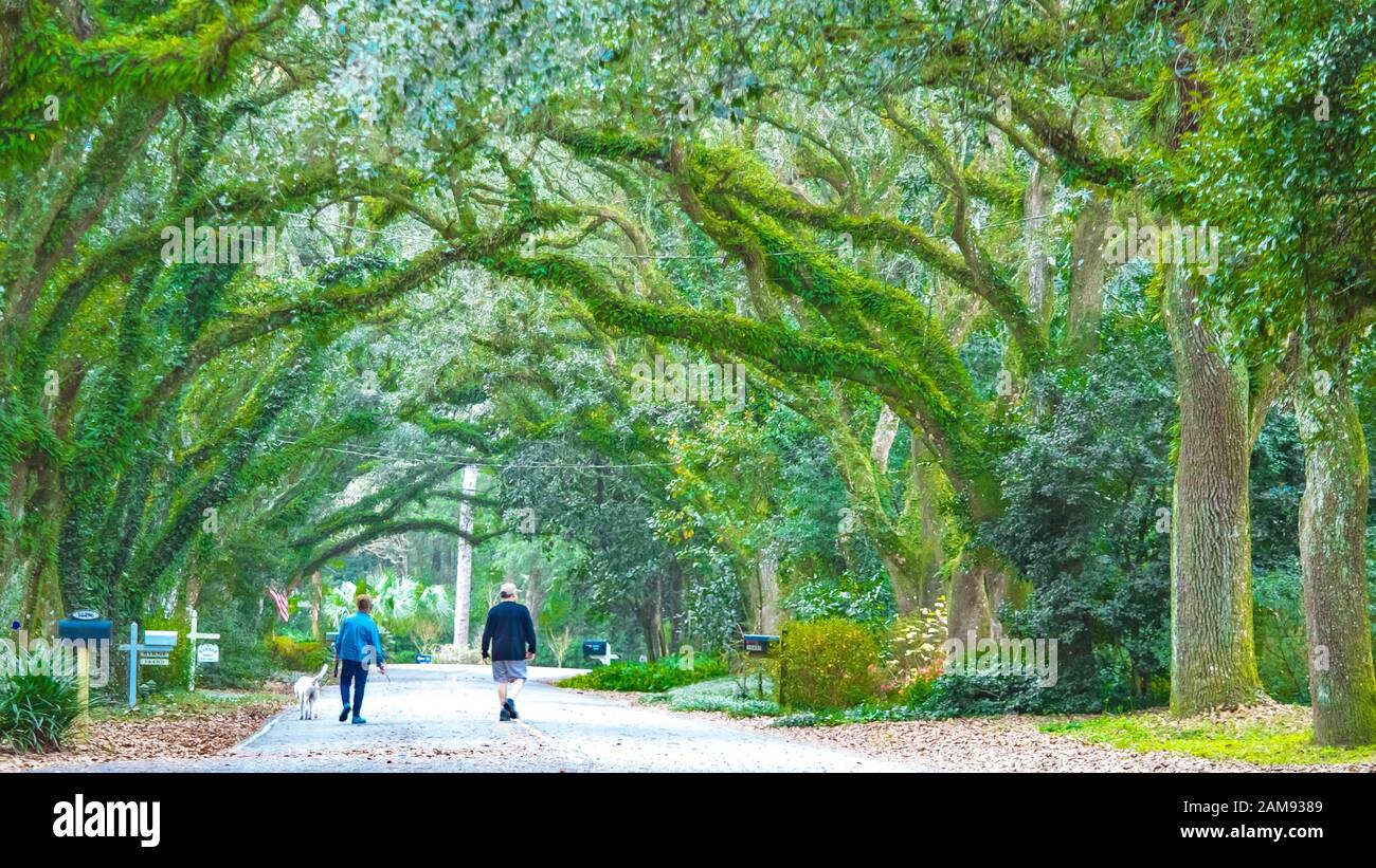 Magnolia springs historical hi-res stock photography and images - Alamy