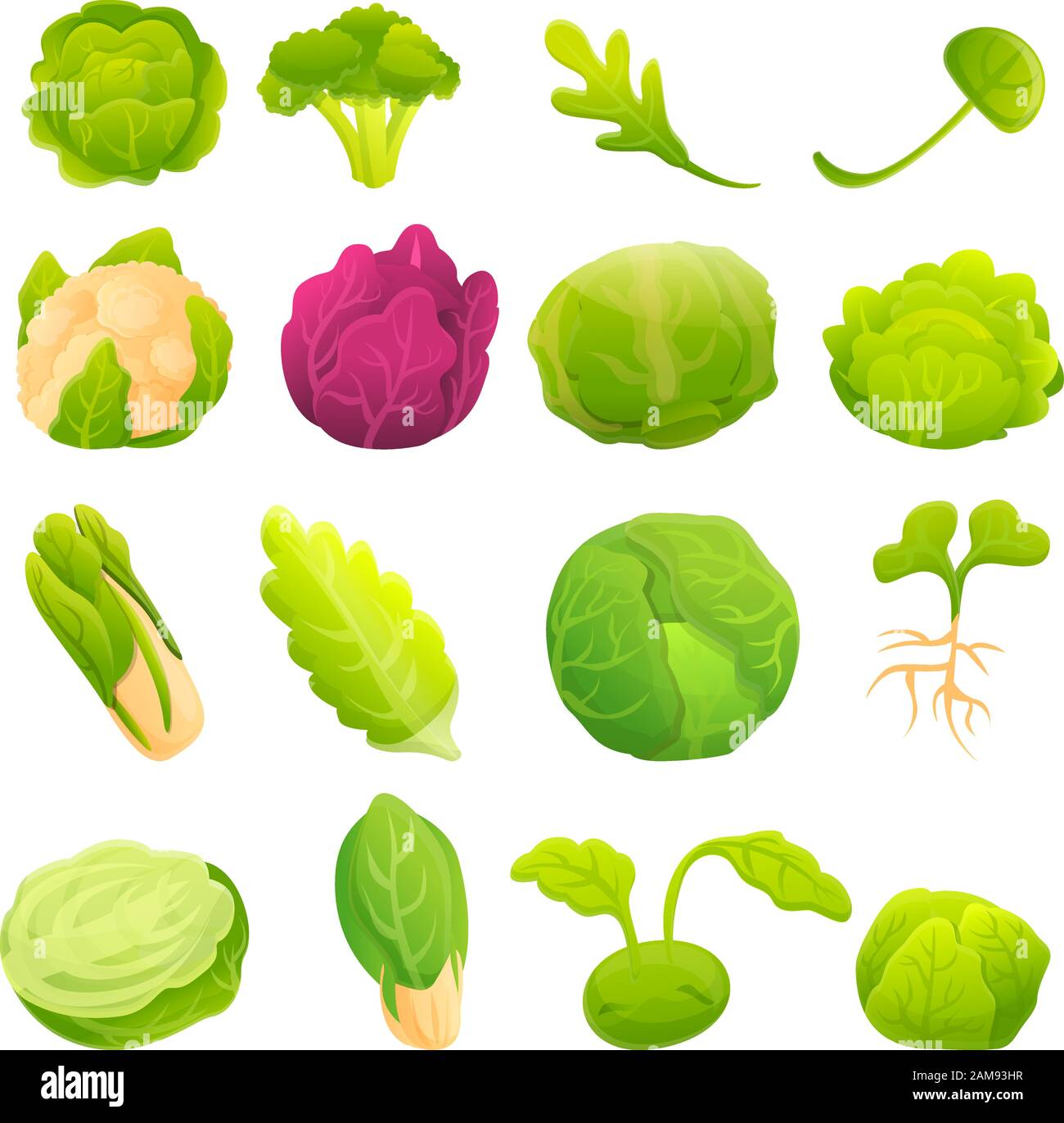 Cabbage icons set. Cartoon set of cabbage vector icons for web design ...
