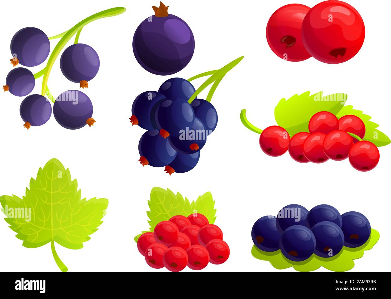 Currant berry icons set. Cartoon set of currant berry vector icons for ...