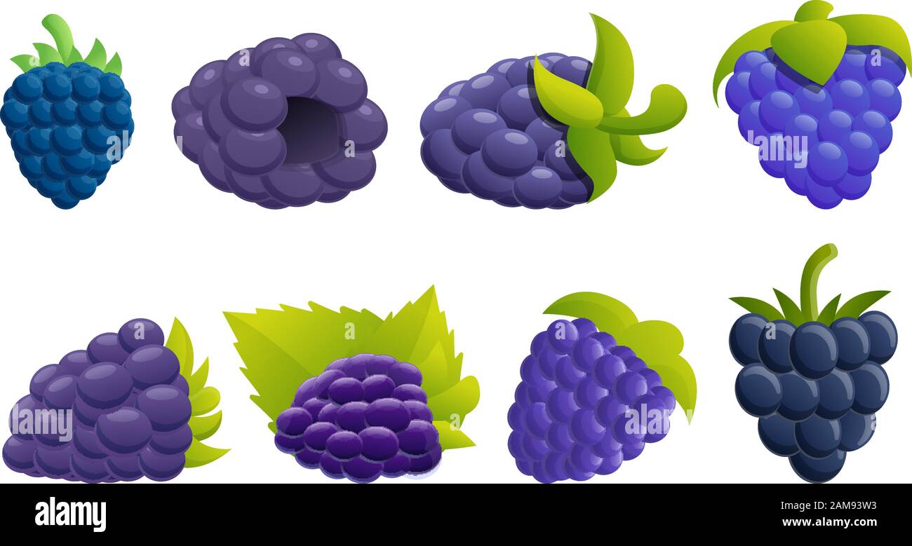 Bramble flower blackberry Stock Vector Images - Alamy