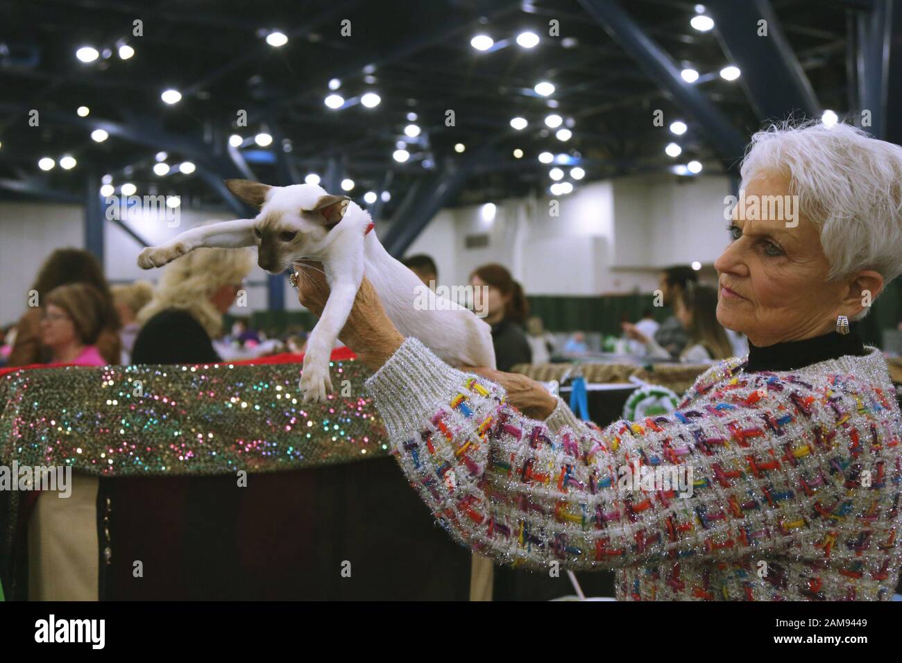 Annual cat show houston cat club hi-res stock photography and images ...