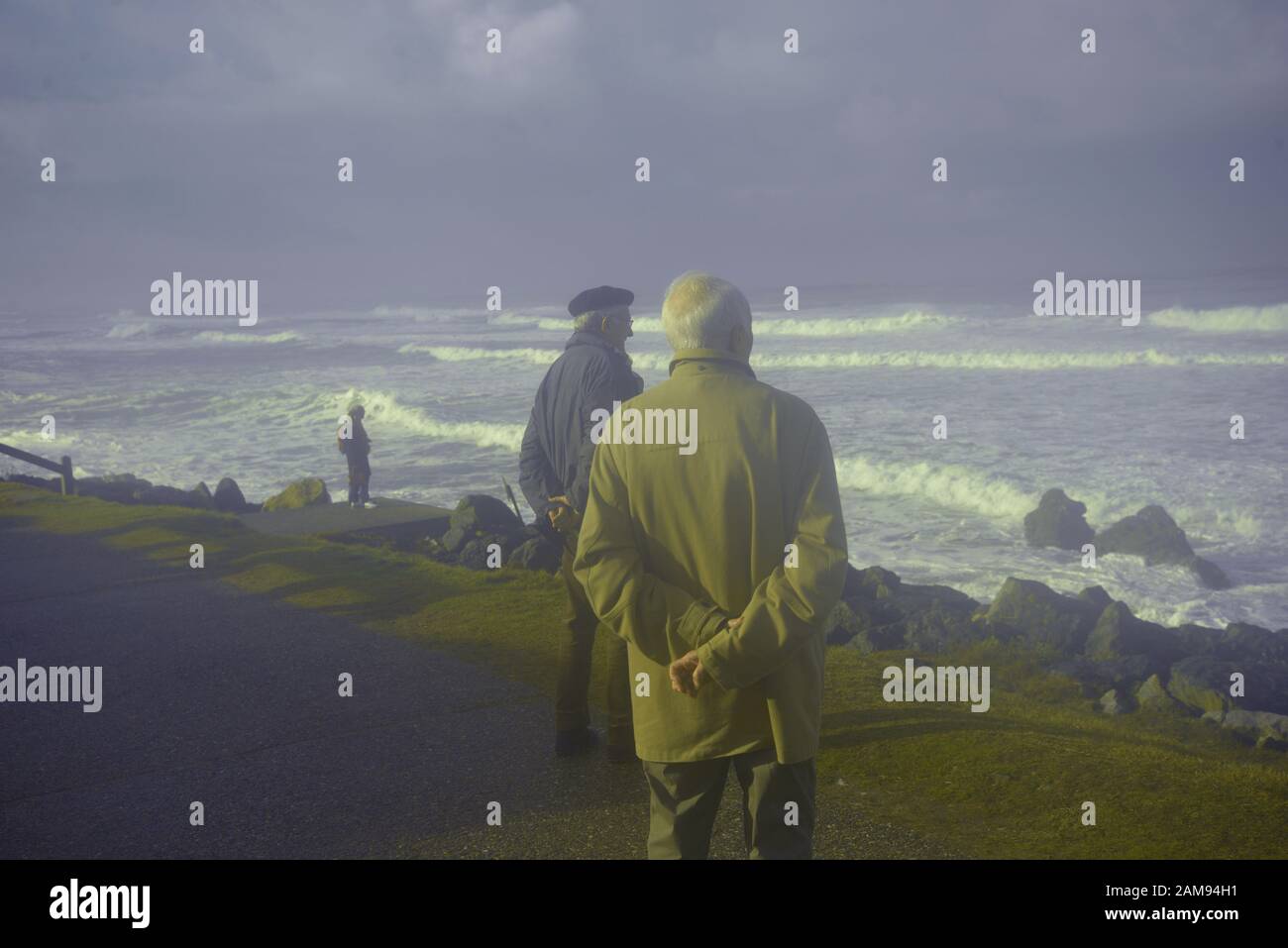 Two elderly men contemplating the ocean, pasakdek Stock Photo - Alamy