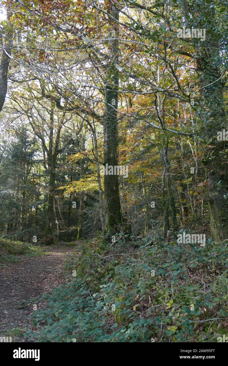 walk in the Brittany countryside in Finistere, France. discovery of the ...