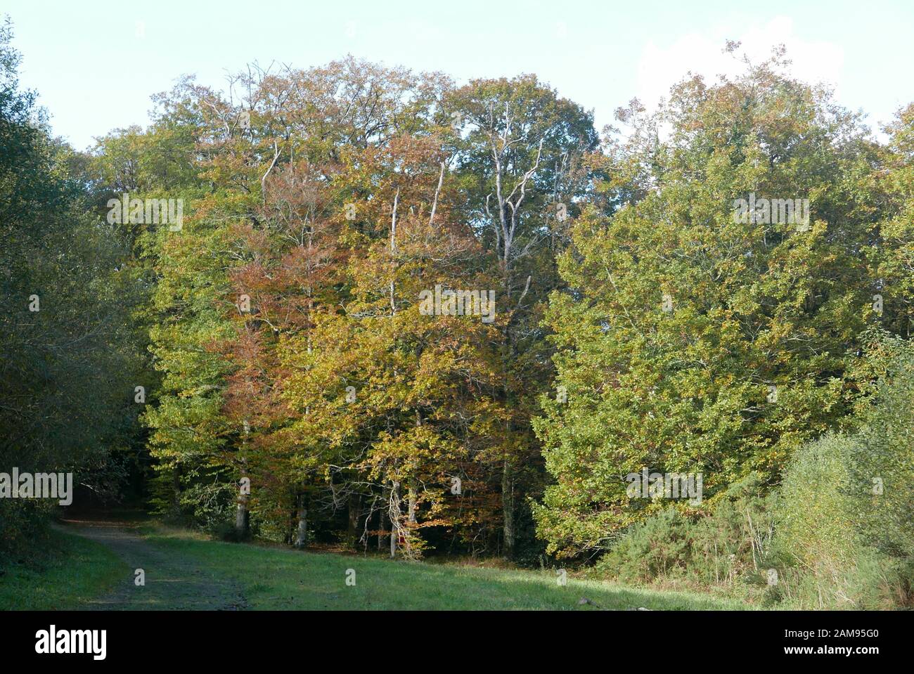 walk in the Brittany countryside in Finistere, France. discovery of the ...