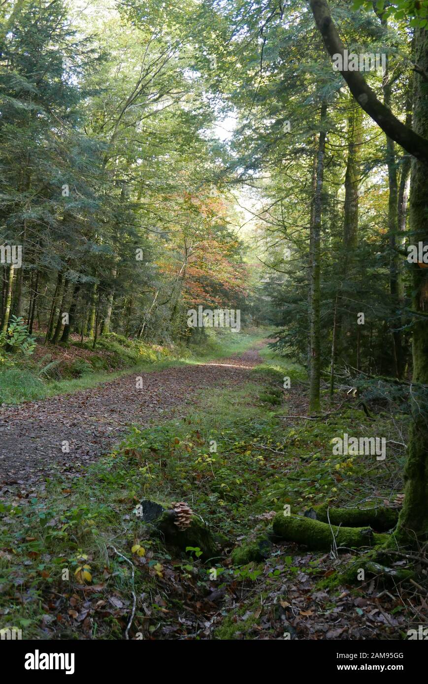 walk in the Brittany countryside in Finistere, France. discovery of the ...