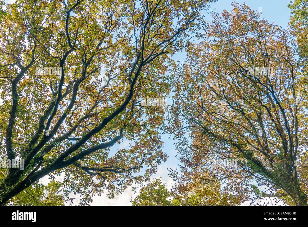 walk in the Brittany countryside in Finistere, France. discovery of the ...