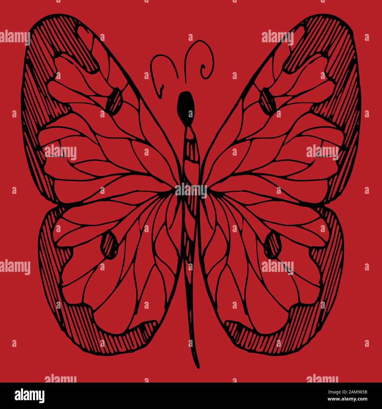 Hand drawn sketch style Butterfly. Retro hand-drawn illustration ...
