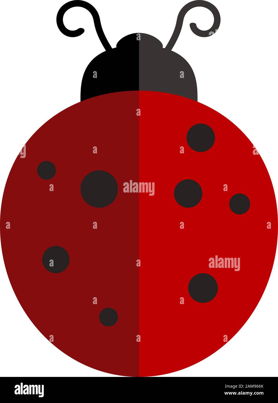 Ladybird on white background . Vector illustration Stock Vector Image ...