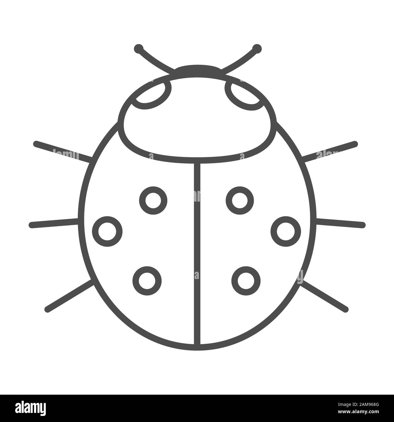 Ladybird on white background . illustration Stock Photo - Alamy