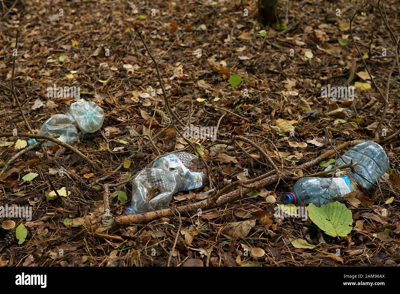 Plastic pollution forest hi-res stock photography and images - Alamy