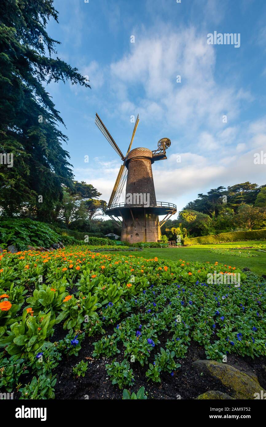 Dutch Windmill of Golden Gate Park Stock Photo - Alamy