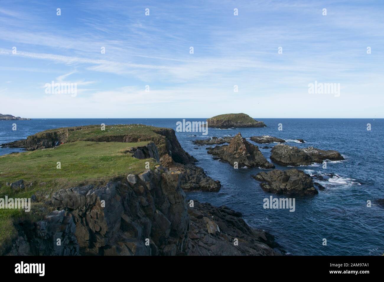 Puffin and elliston and newfoundland hi-res stock photography and ...
