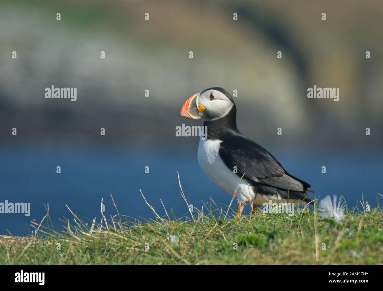 Discovery trail newfoundland hi-res stock photography and images - Alamy