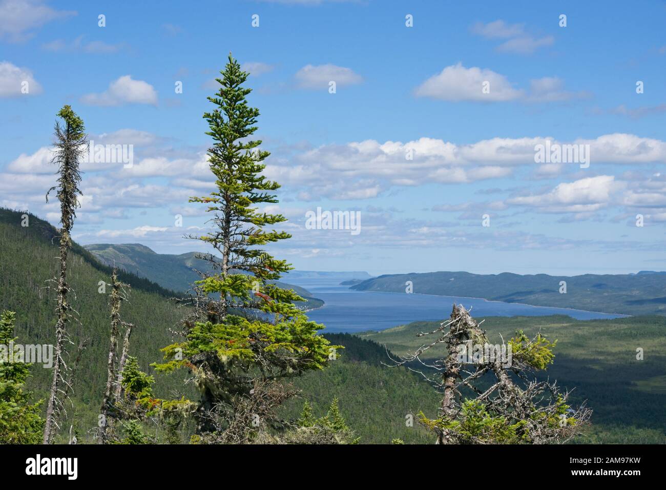 Fjords mountains and rivers in Newfoundland Canada Stock Photo - Alamy
