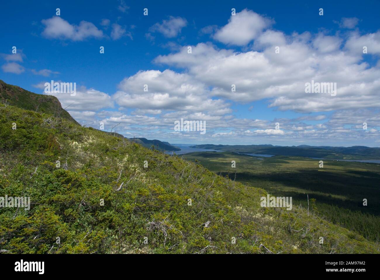 Fjords mountains and rivers in Newfoundland Canada Stock Photo - Alamy