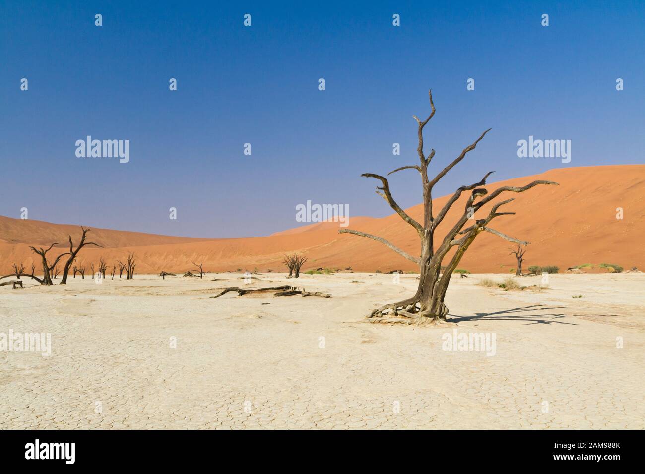 Vlei hi-res stock photography and images - Alamy