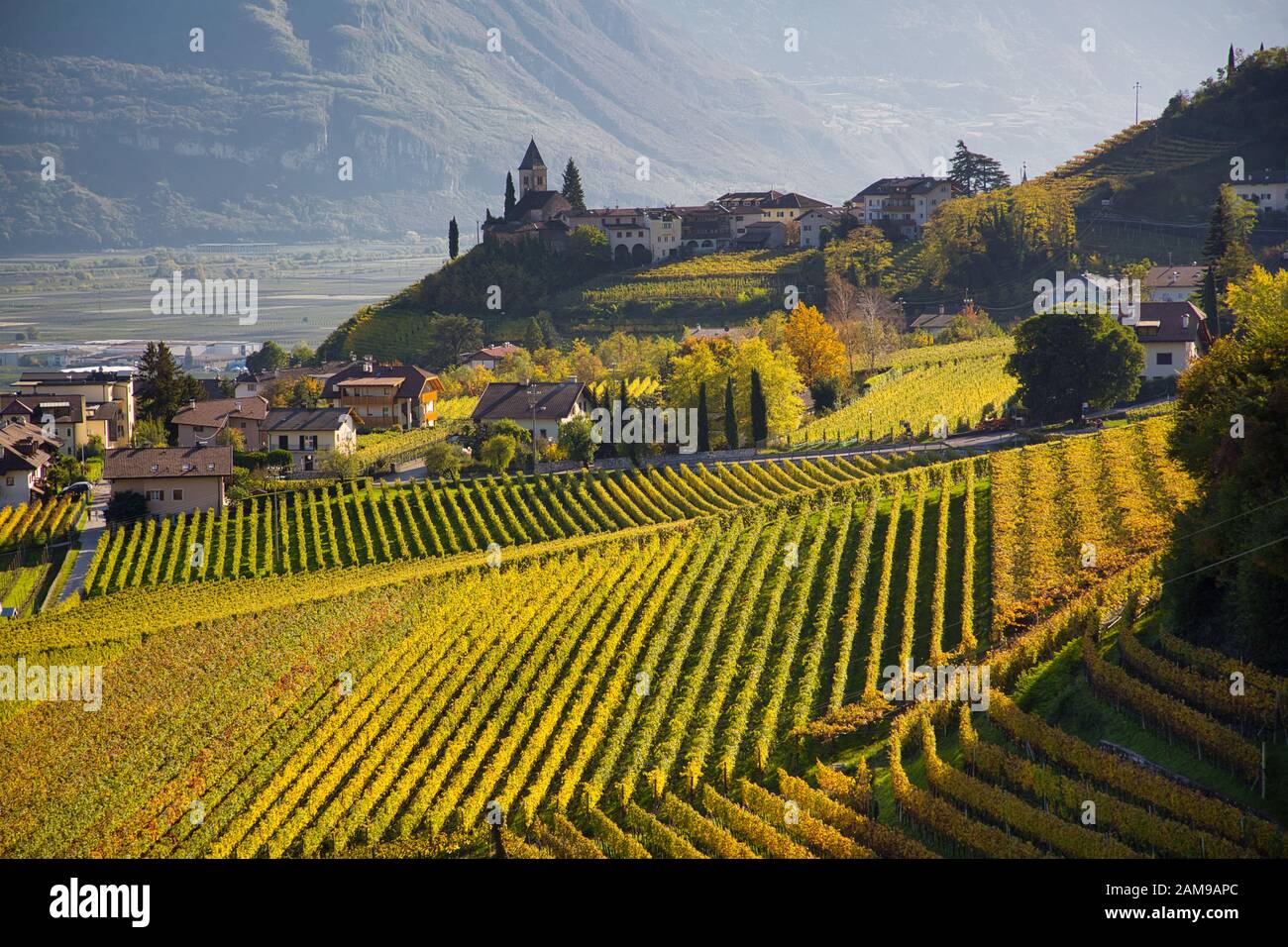 Tramin village hi-res stock photography and images - Alamy