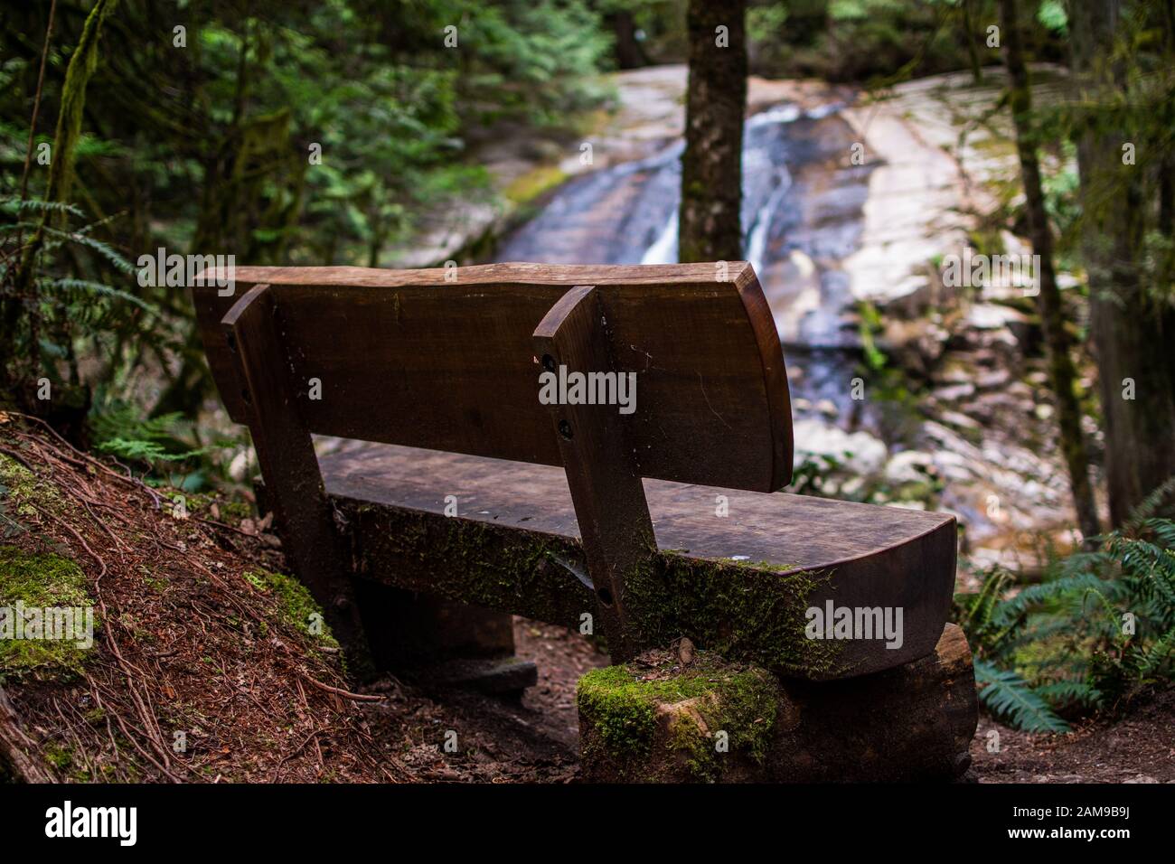 bench overlooking waterfall Stock Photo - Alamy