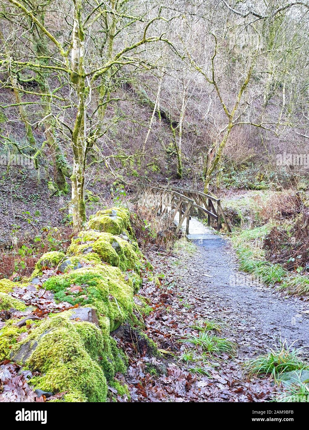 Dollar Glen Circuit in Scotland, UK Stock Photo - Alamy