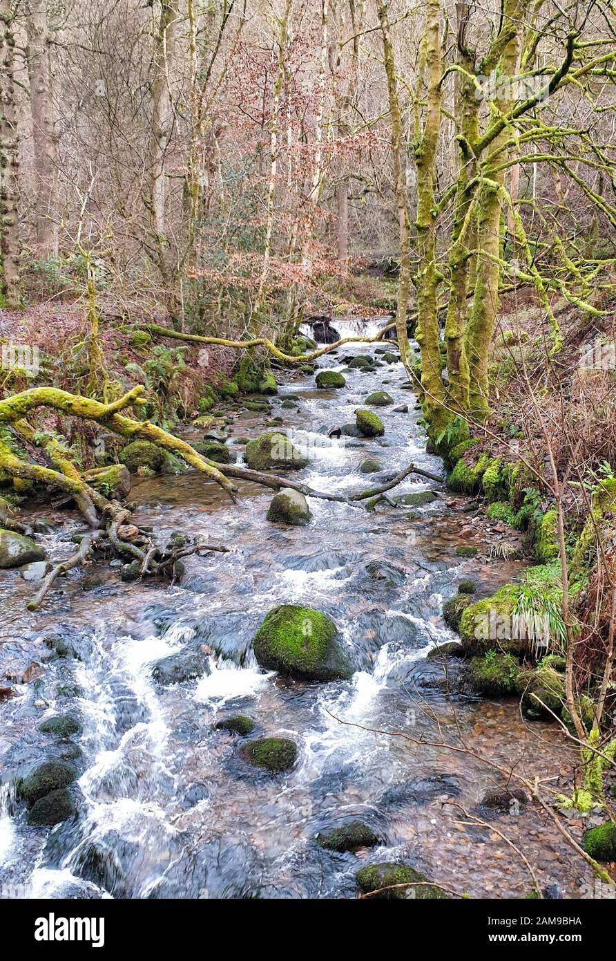 Dollar Glen Circuit in Scotland, UK Stock Photo - Alamy