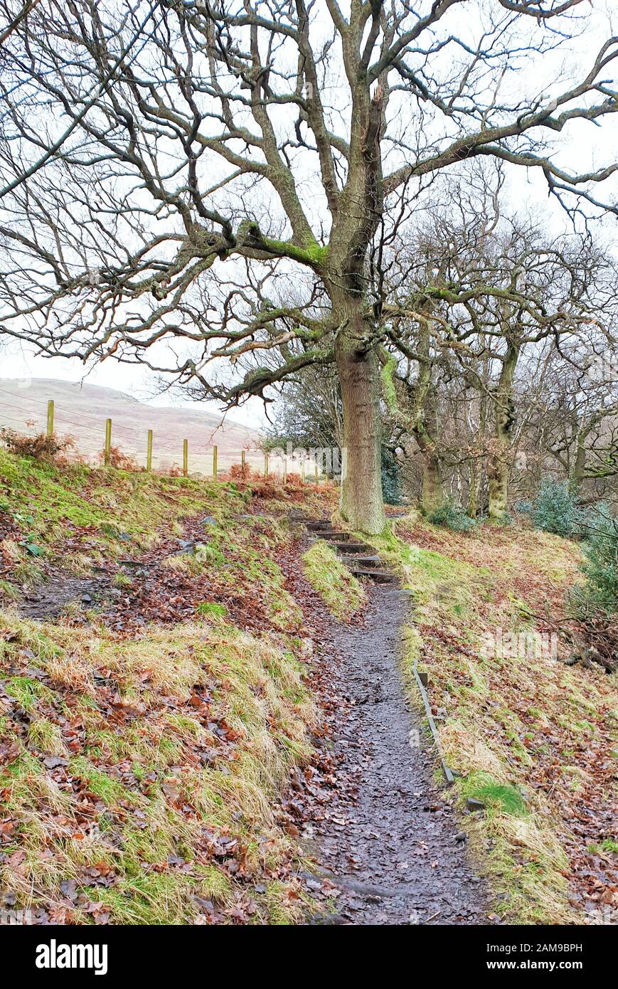 Dollar Glen Circuit in Scotland, UK Stock Photo - Alamy