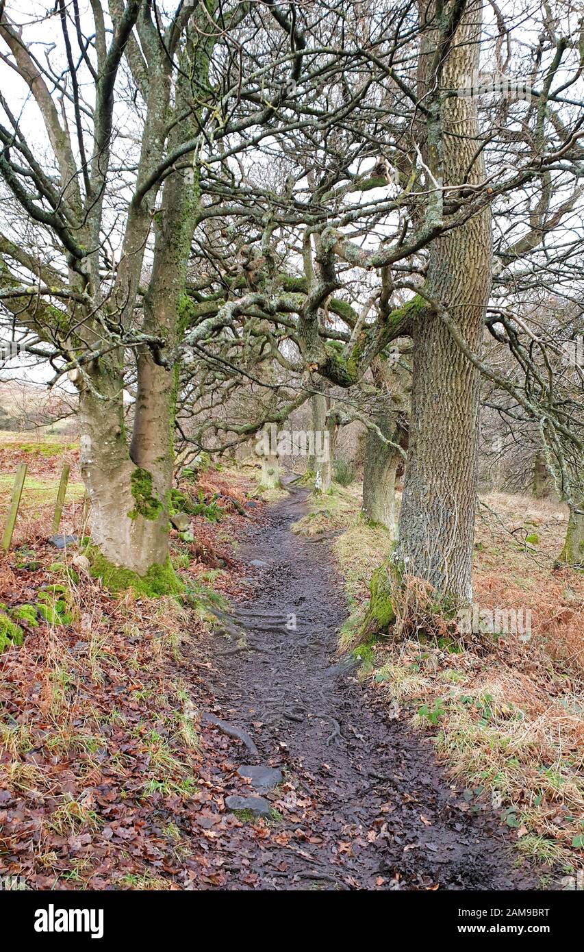 Dollar Glen Circuit in Scotland, UK Stock Photo - Alamy