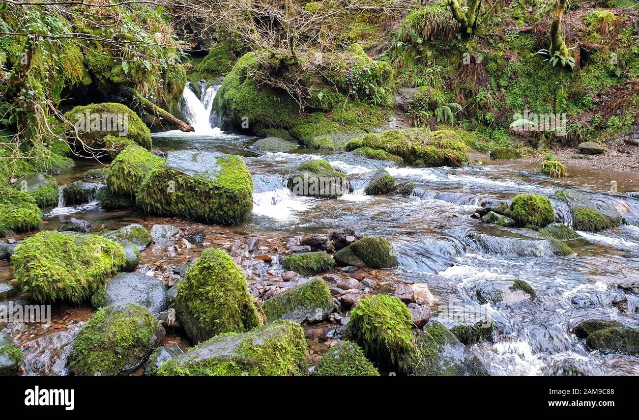 Dollar Glen Circuit in Scotland, UK Stock Photo - Alamy