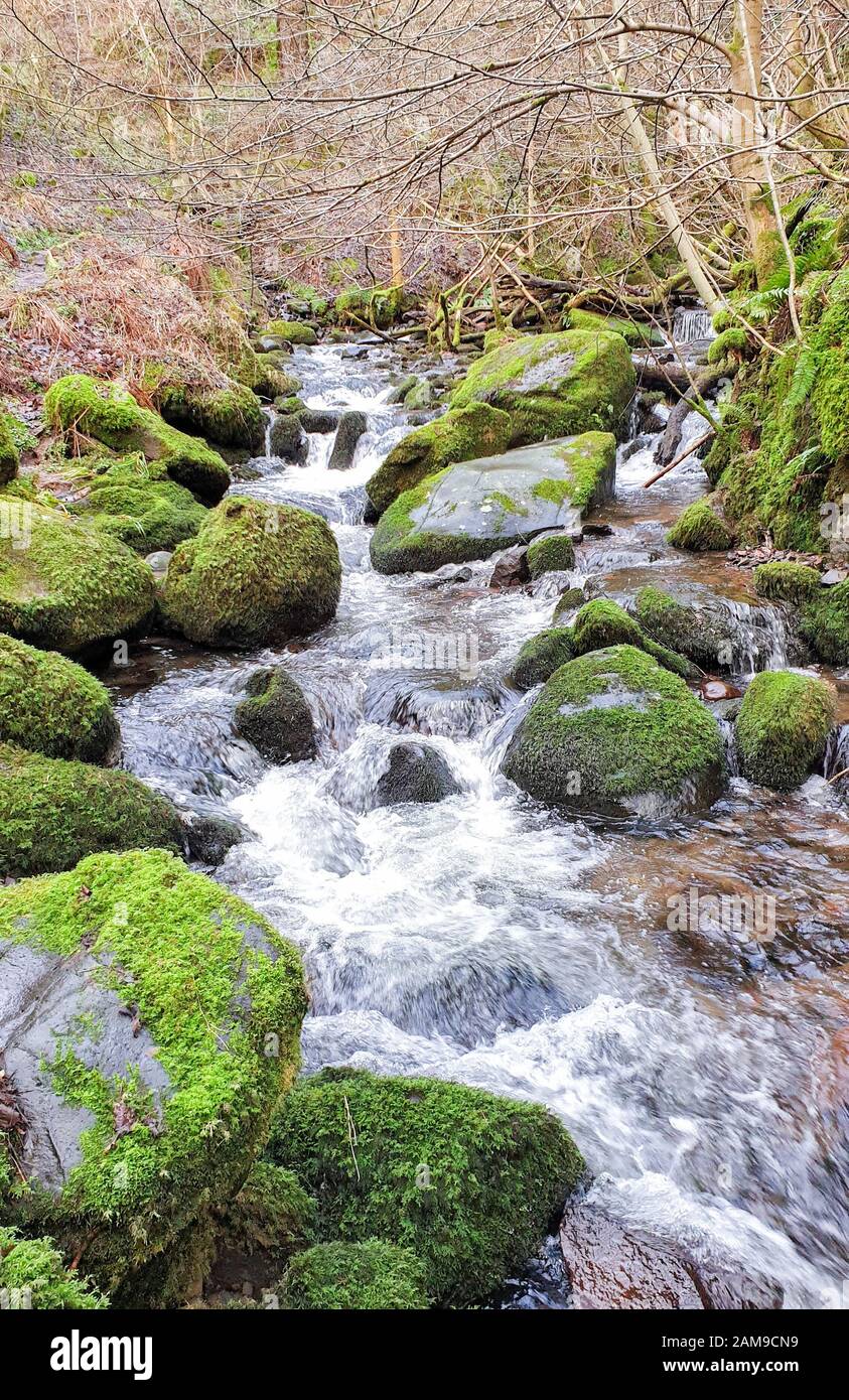 Dollar Glen Circuit in Scotland, UK Stock Photo - Alamy