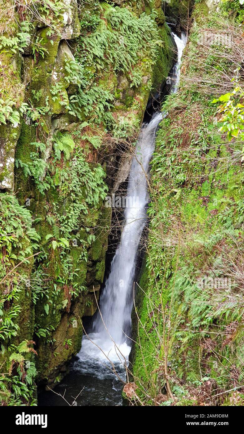 Dollar Glen Circuit in Scotland, UK Stock Photo - Alamy