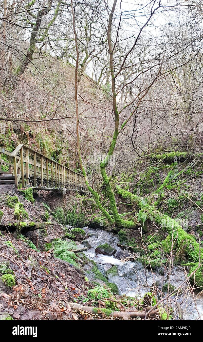 Dollar Glen Circuit in Scotland, UK Stock Photo - Alamy