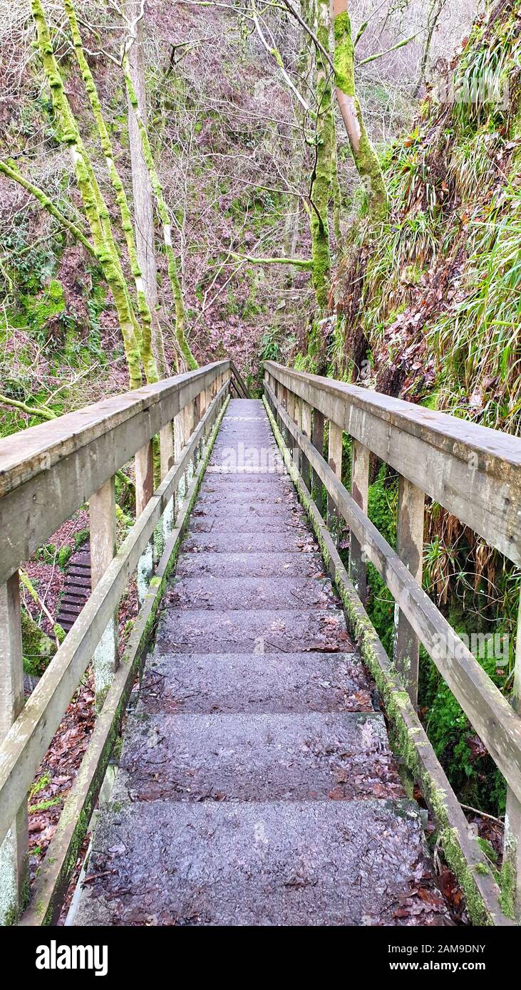 Dollar Glen Circuit in Scotland, UK Stock Photo - Alamy
