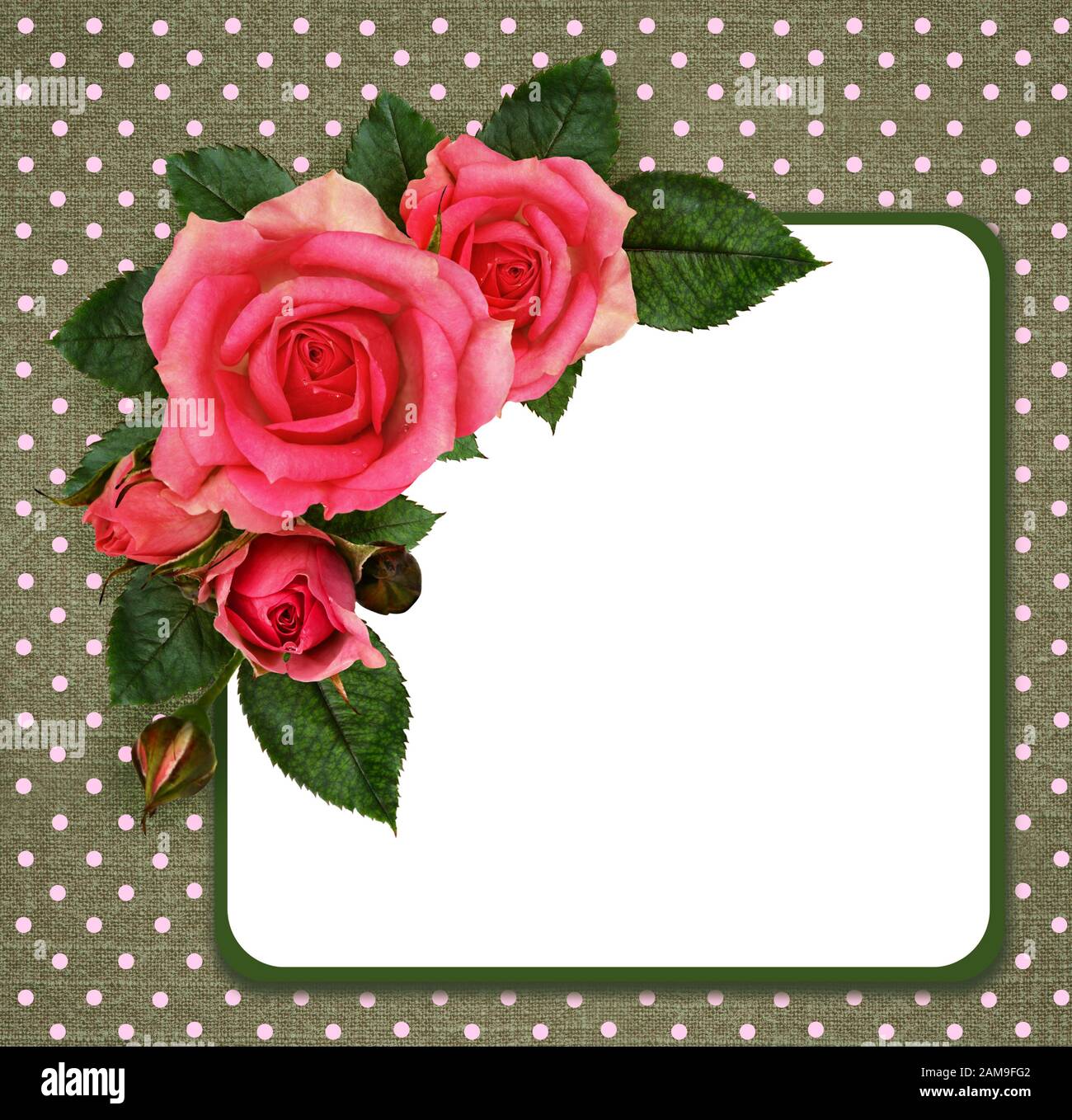 Rose flowers composition and frame on green background Stock Photo - Alamy
