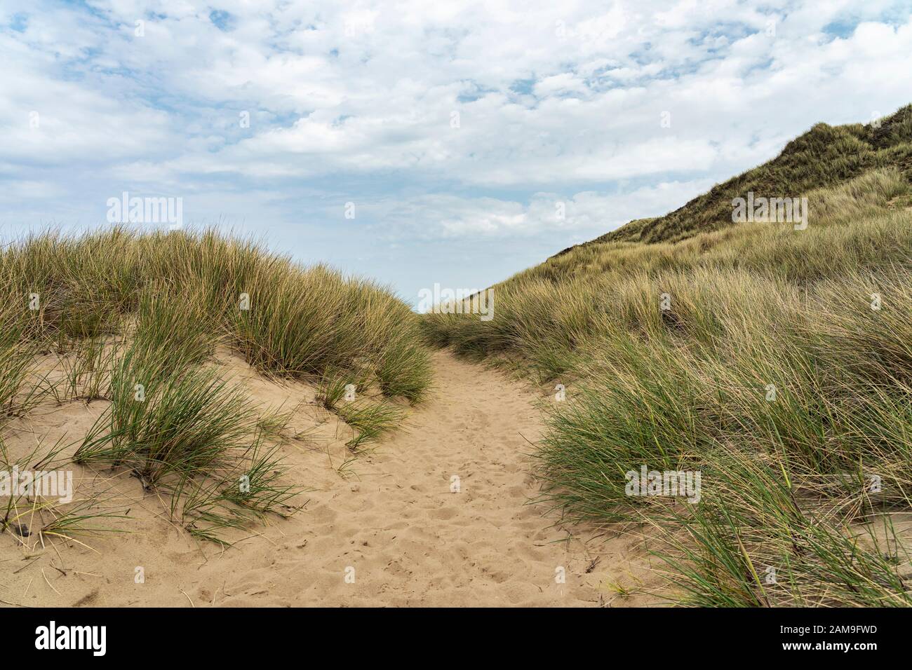 Sylt - View to Grass- and Sand-Dunes at Kampen Cliff / Germany Stock ...