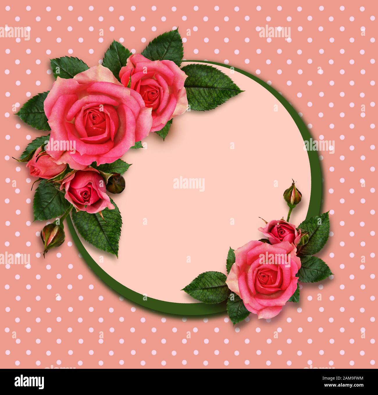 Rose flowers composition and frame on pink background Stock Photo - Alamy