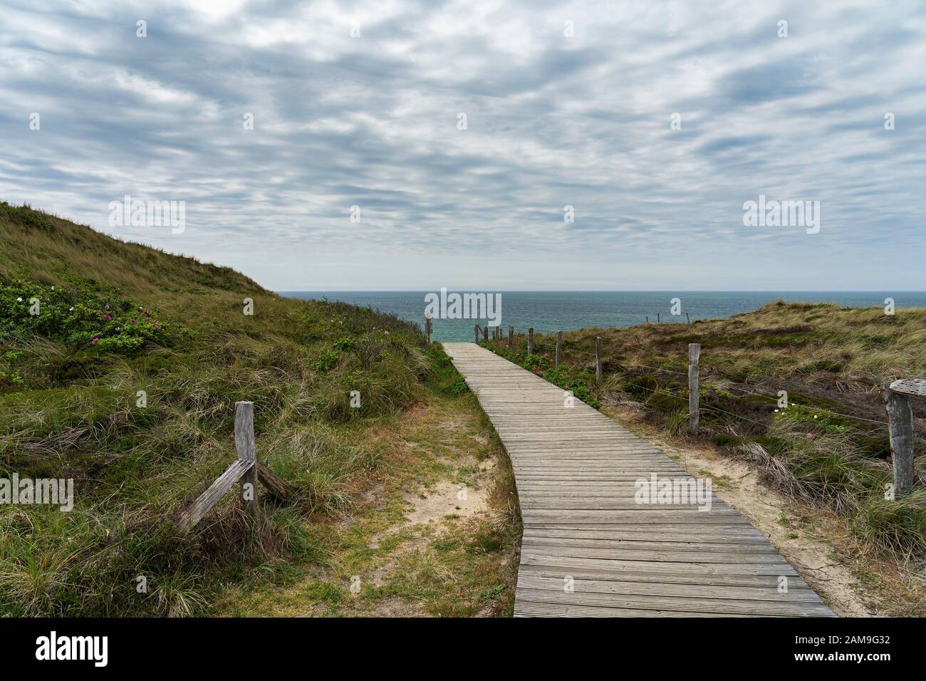 Dunes at red cliff in kampen hi-res stock photography and images - Alamy