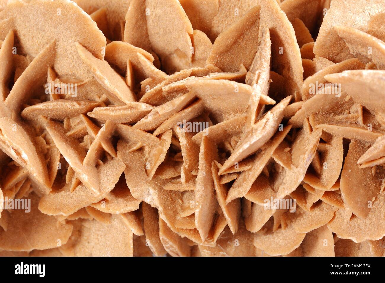 Desert rose of gypsum crystals hi-res stock photography and images - Alamy