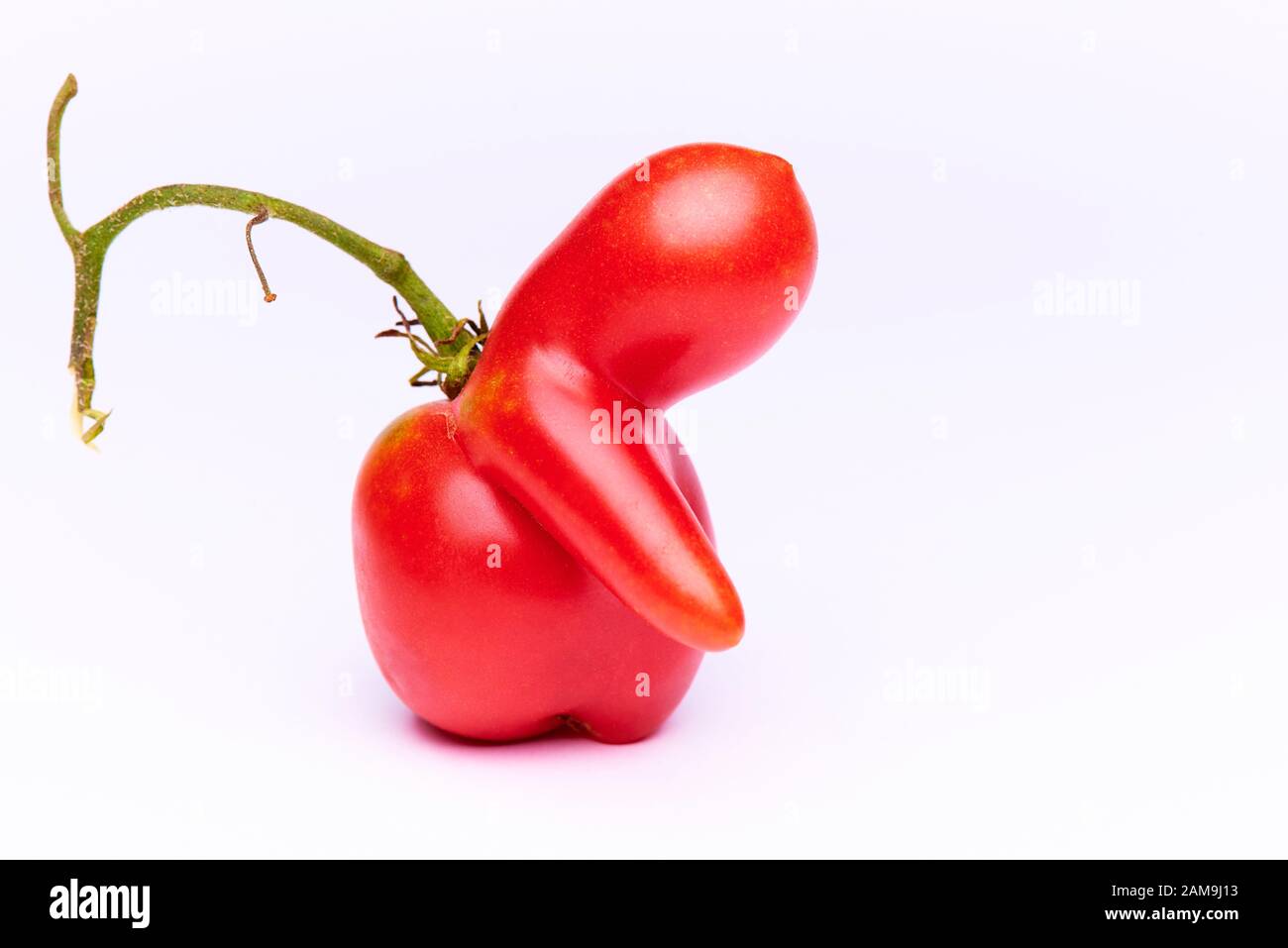 Form shaped on Cut Out Stock Images & Pictures - Alamy