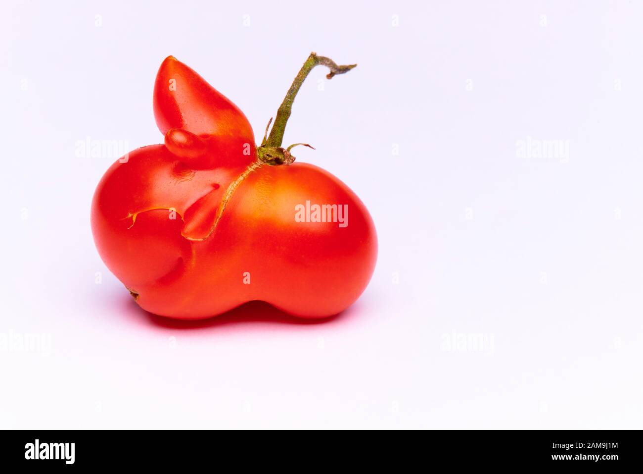 Weird Vegetable Shapes