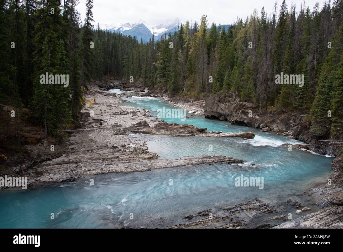 Natural Bridge in Yoho National Park Canada Stock Photo - Alamy