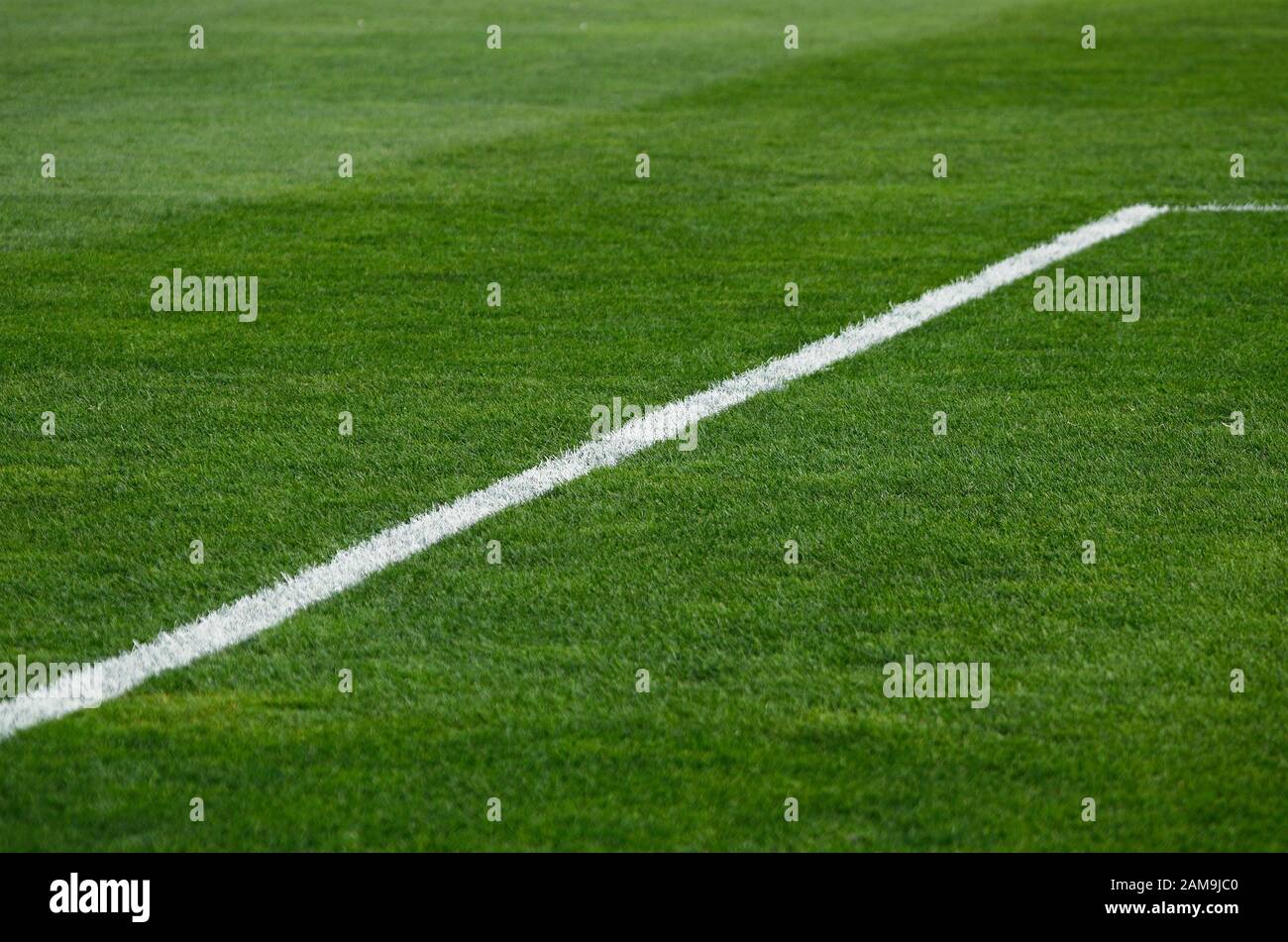 Grass football field with white markings Stock Photo - Alamy