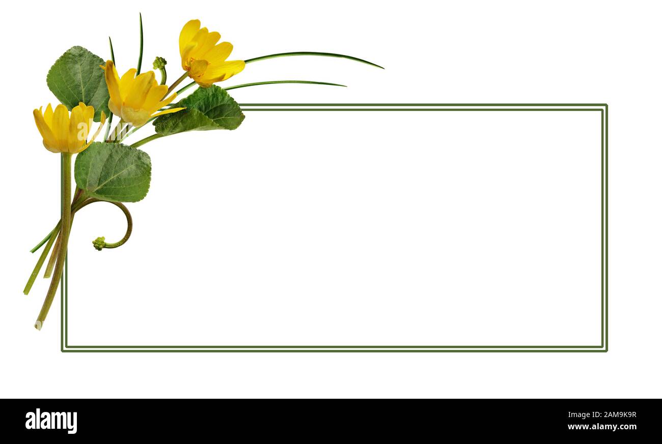 Corner garden yellow flowers Cut Out Stock Images & Pictures - Alamy