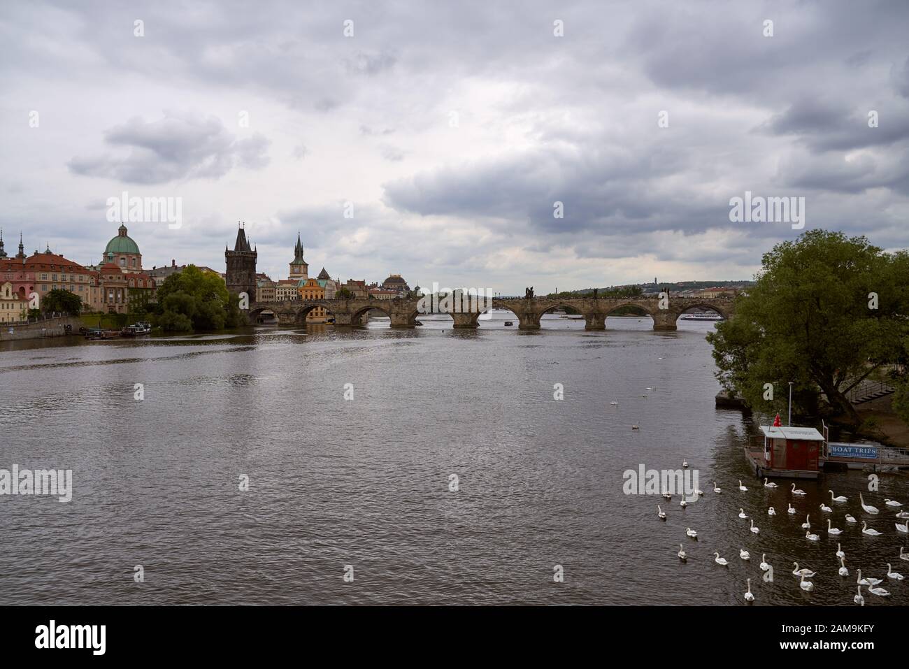 Top view of the wide Vltava river Stock Photo - Alamy