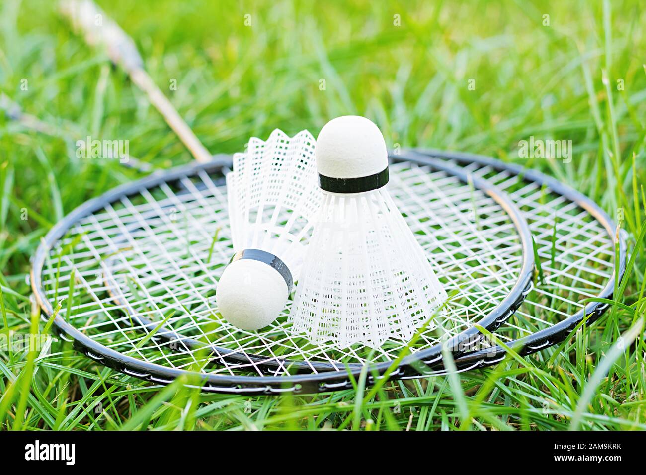 Shuttlecock and badminton rackets on a green lawn Stock Photo - Alamy