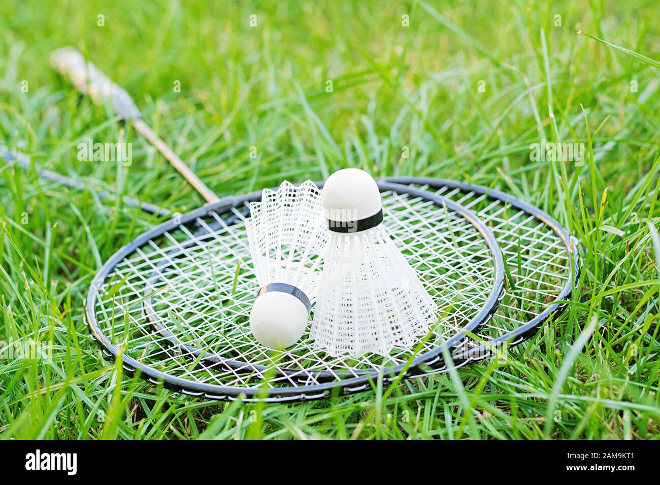 Shuttlecock and badminton rackets on a green lawn Stock Photo - Alamy