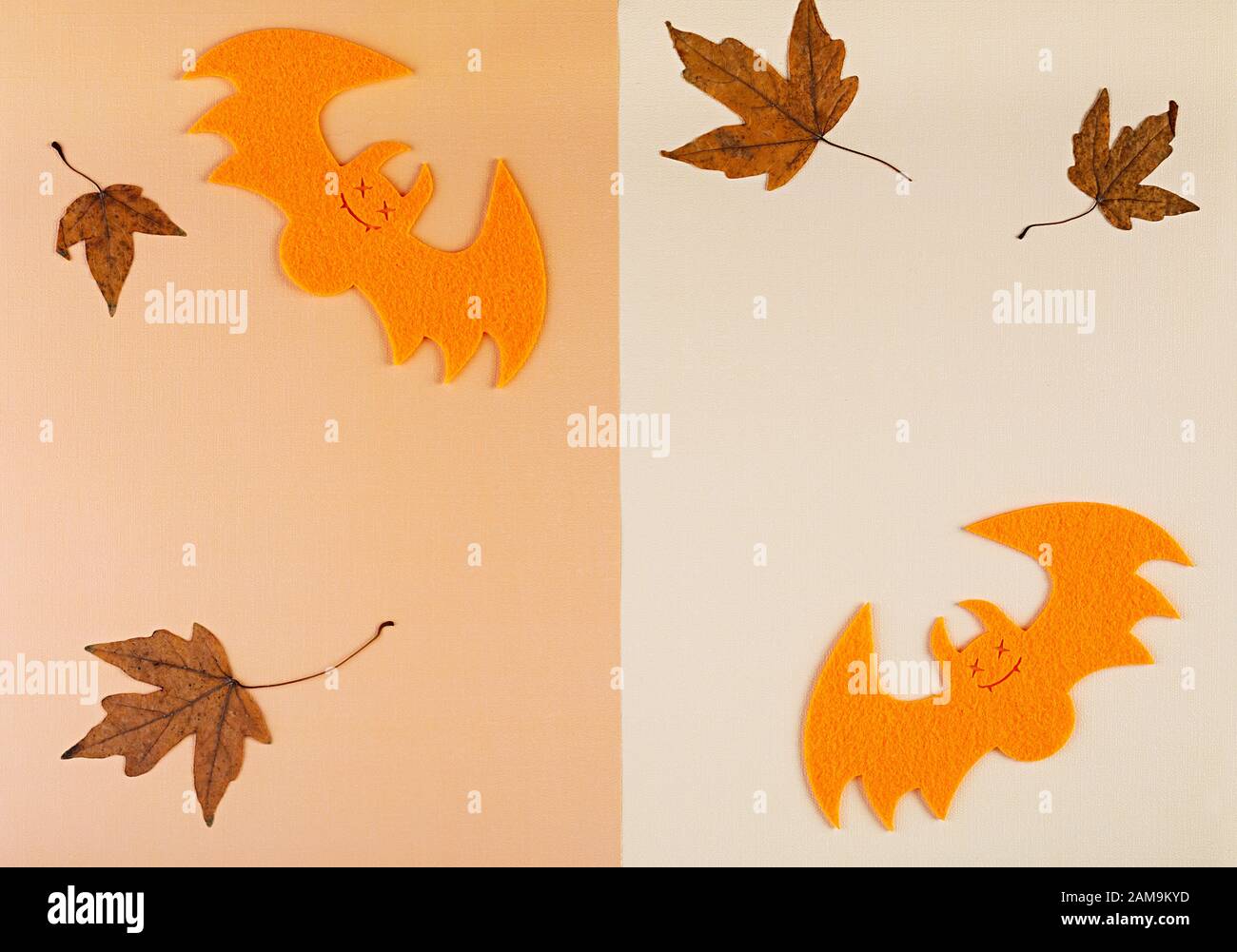 Ghost Spiders High Resolution Stock Photography and Images - Alamy