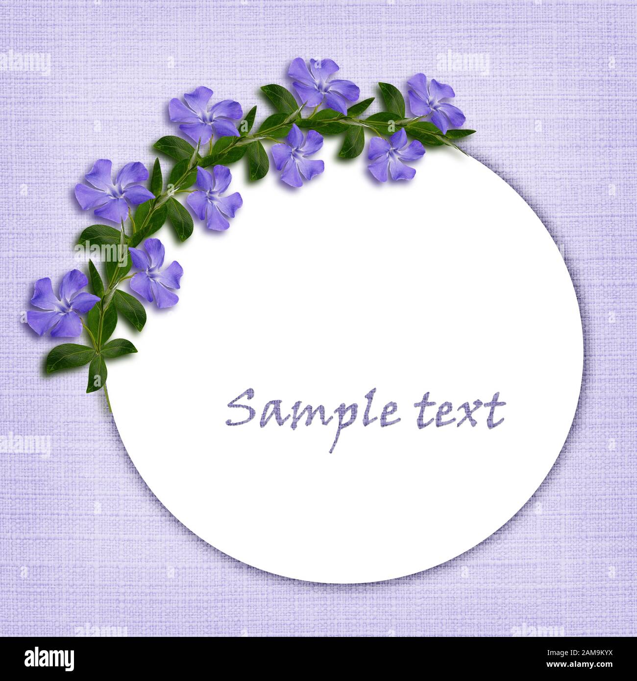 Periwinkle flowers line in a corner of white and blue background Stock ...