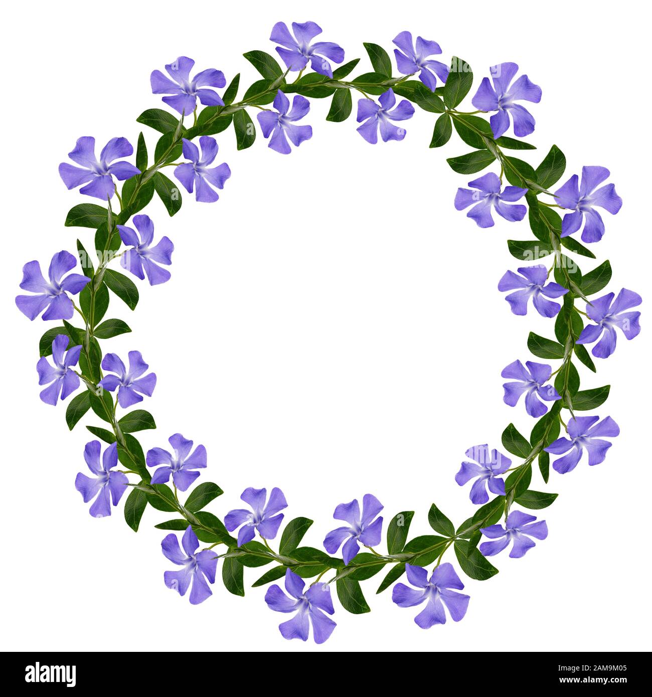 Periwinkle wreath hi-res stock photography and images - Alamy